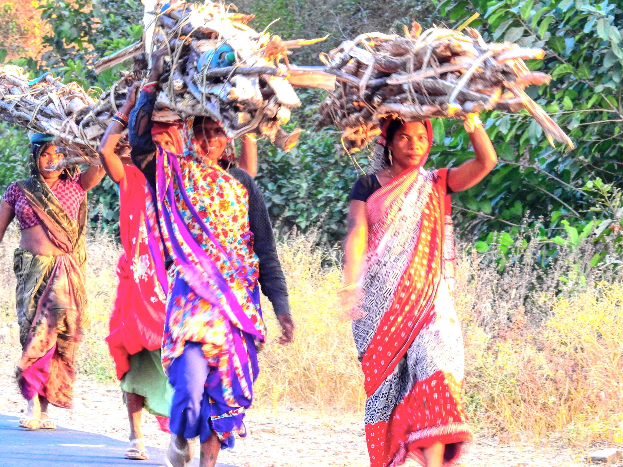 PICTORIAL TRAVELOGUE: Rural India and the Gond Tribe of Central India