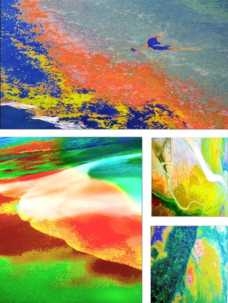 If you love the uniqueness and vibrancy of colour, shape, and forms ...